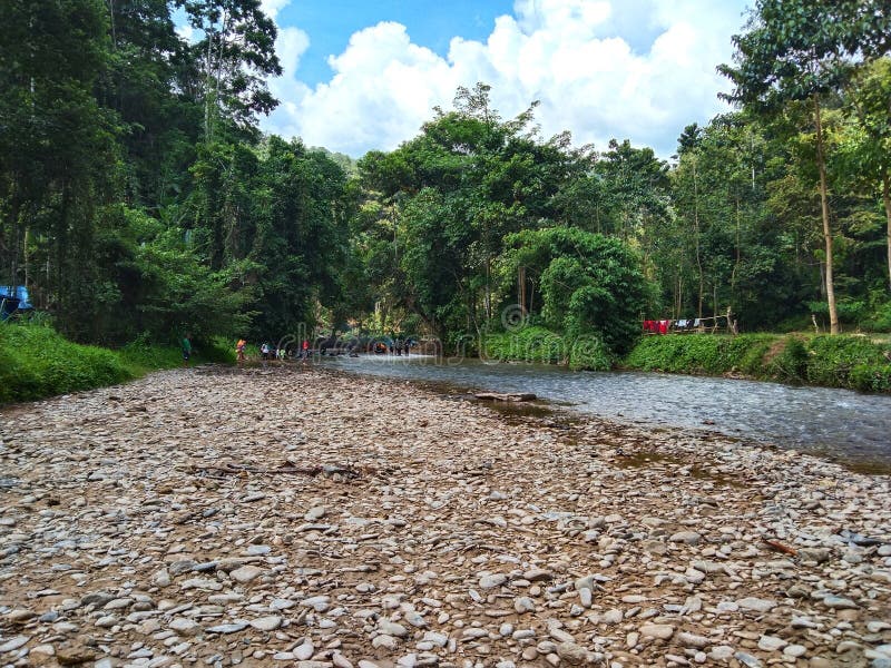 Pebble River, Forest, Green, Sunny, Beautiful Nature Scenery Stock ...