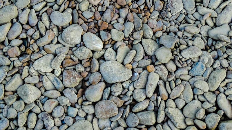 A Pebble, a Riverbank Where No Human Foot Has Ever Set Foot. Stock ...