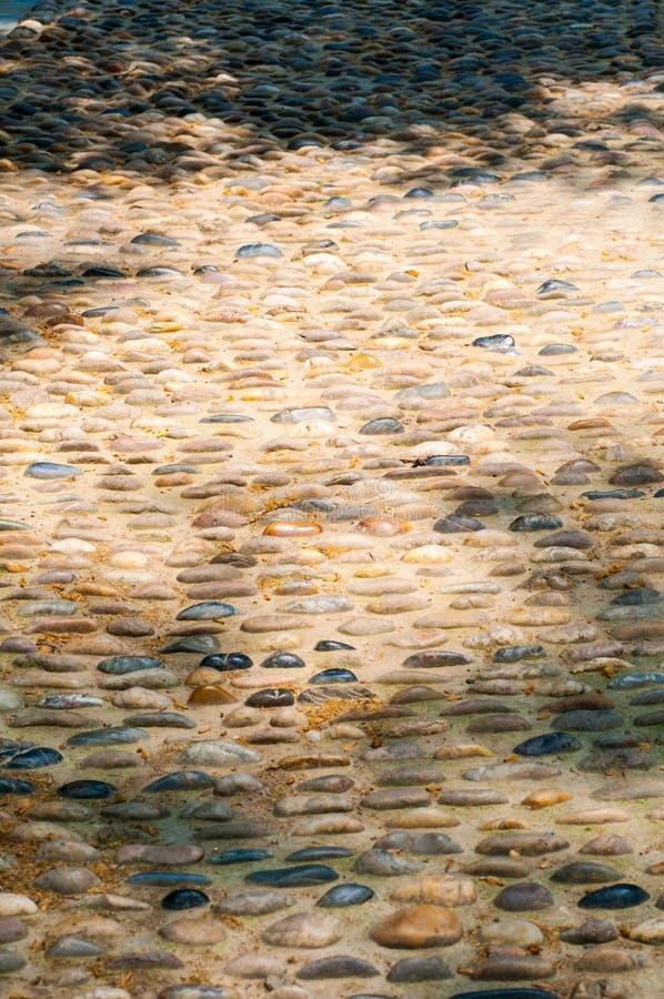 Pebble road stock photo. Image of leaves, beautiful, road - 39644468