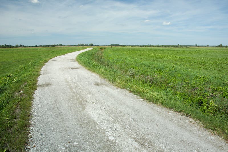 Pebble Road on a Green Meadow Stock Photo - Image of environment ...