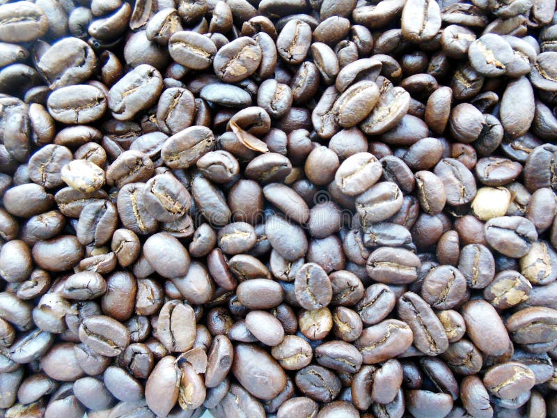 Pebble, Rock, Cocoa Bean, Bean Picture. Image: 116266919