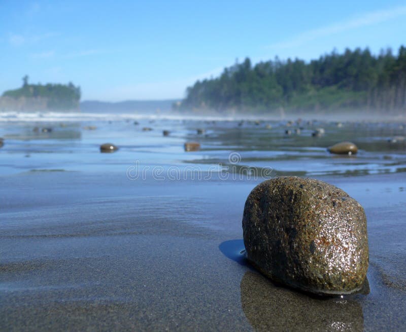 A pebble on the Ruby beach stock photo. Image of ocean - 10617204