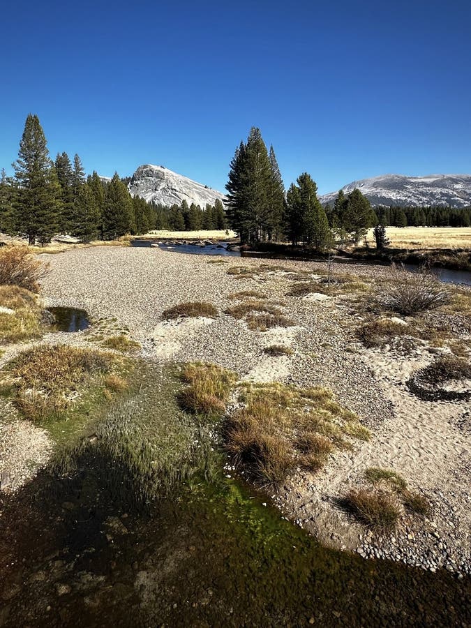 Confluence of River and Meadow in Tuolumne (Yosemite National Park ...