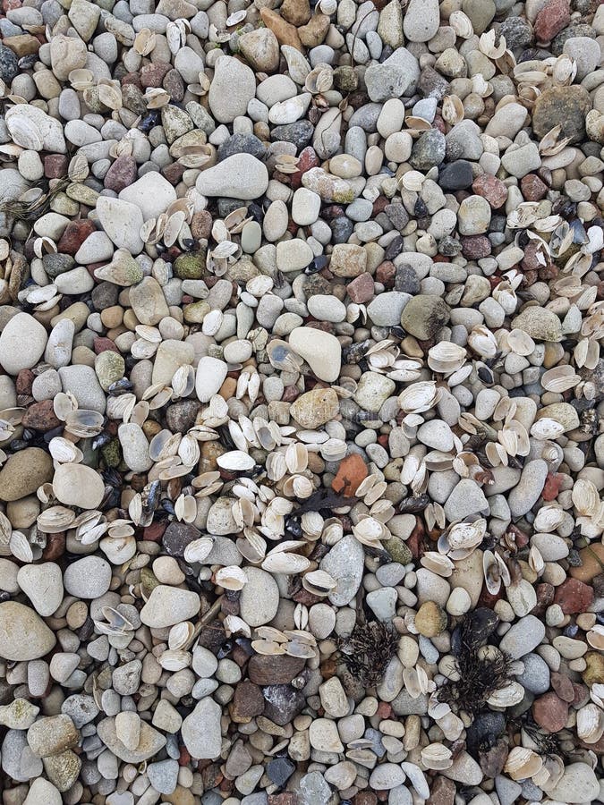 Stones and Shells Background Stock Photo - Image of summer, shot: 183613602