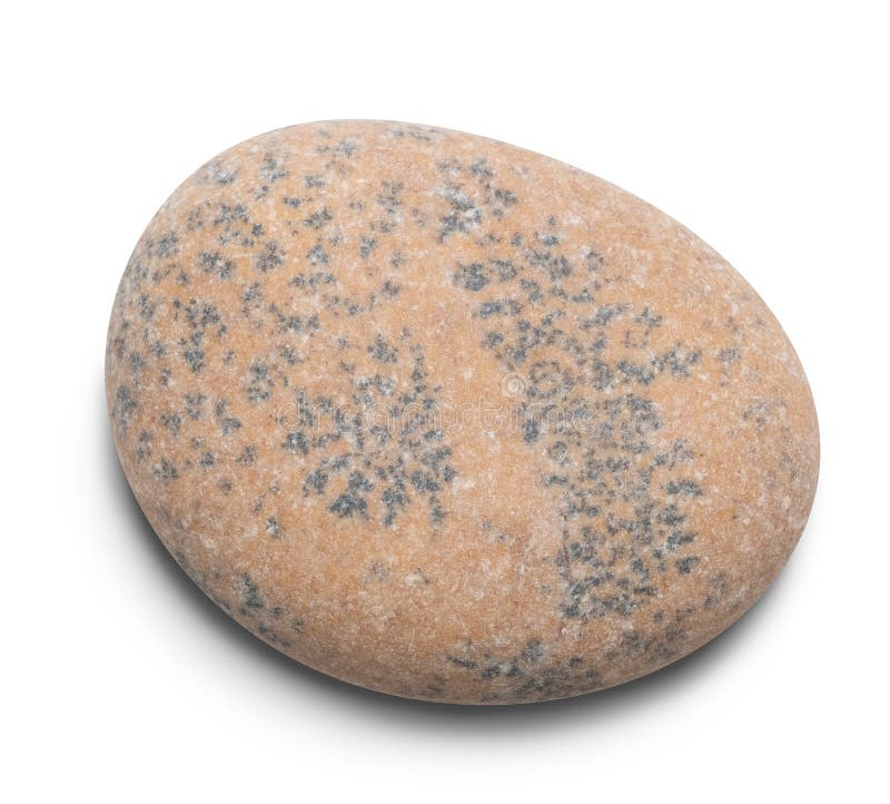 Pebble. Smooth Red Sea Stone Isolated on White Background with Shadows ...