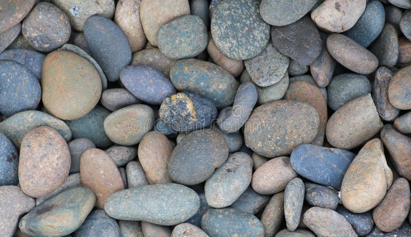 Pebble stone background stock image. Image of floor - 155242651