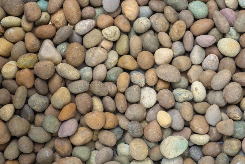 Pebble Stone Background, Small Scree in Garden with Difference Color ...