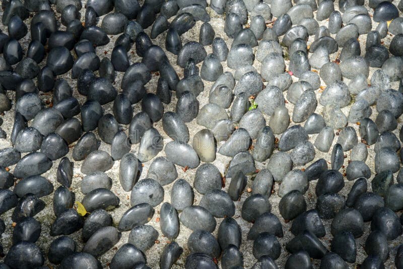 Pebble Stone on Ground Texture Stock Photo - Image of cobble, material ...