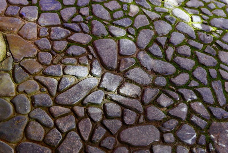 Pebble Stone Path in a Garden Stock Image - Image of path, pebble ...