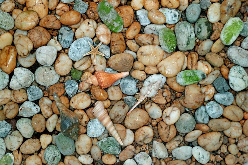 Pebble Stone Path with Tiny Seashells on the Beach Stock Photo - Image ...