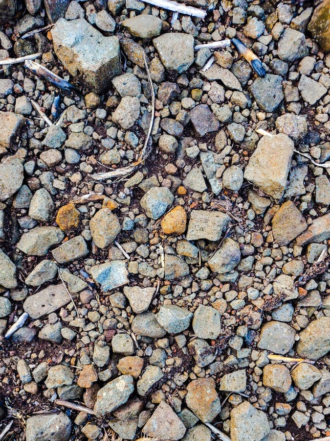 Pebble Stone Texture on Forest Ground Stock Photo - Image of ...