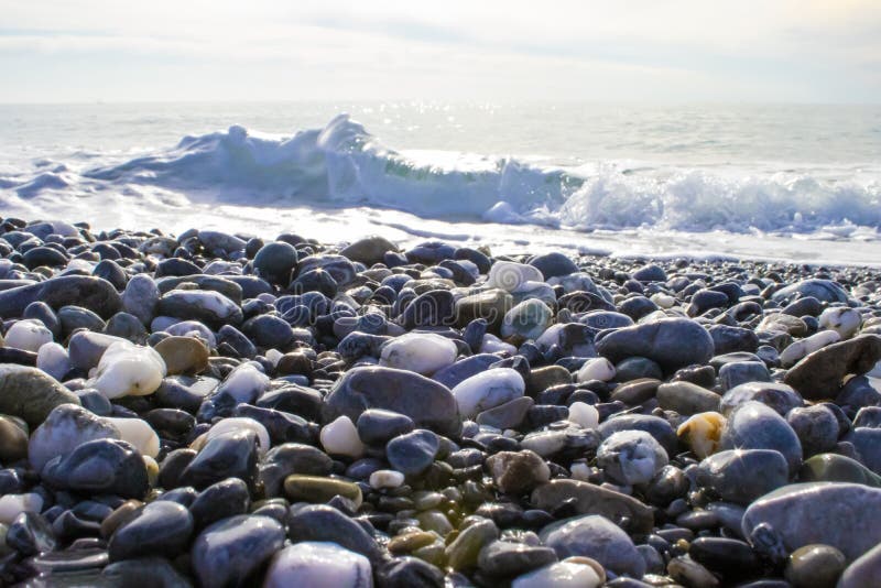 Pebble Stones. Pebbles on the Shore Close-up in the Blurry Light of the ...