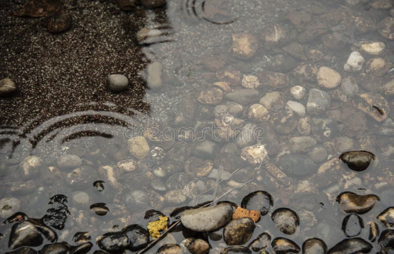 Pebble Stones in a Puddle on a Rainy Day Stock Image - Image of weather ...