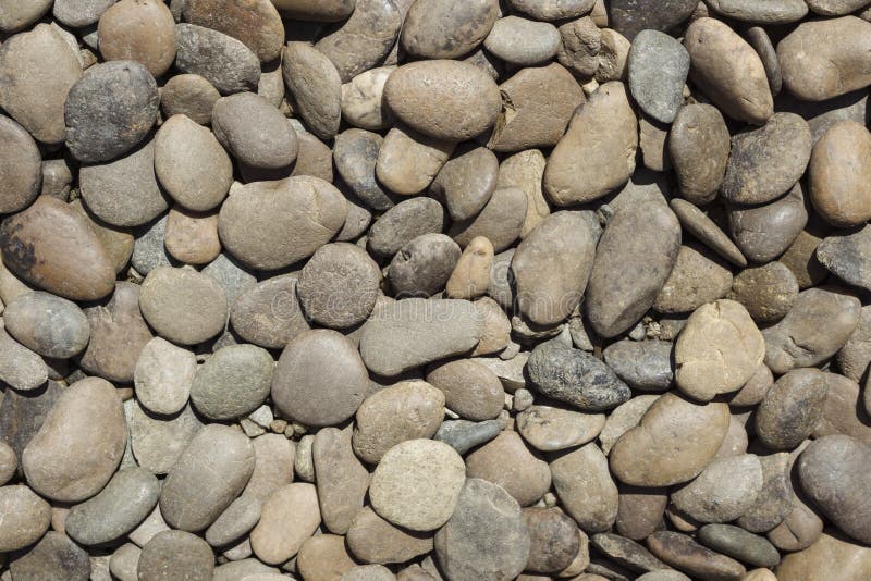 Pebble texture stock image. Image of nature, outdoors - 61789337
