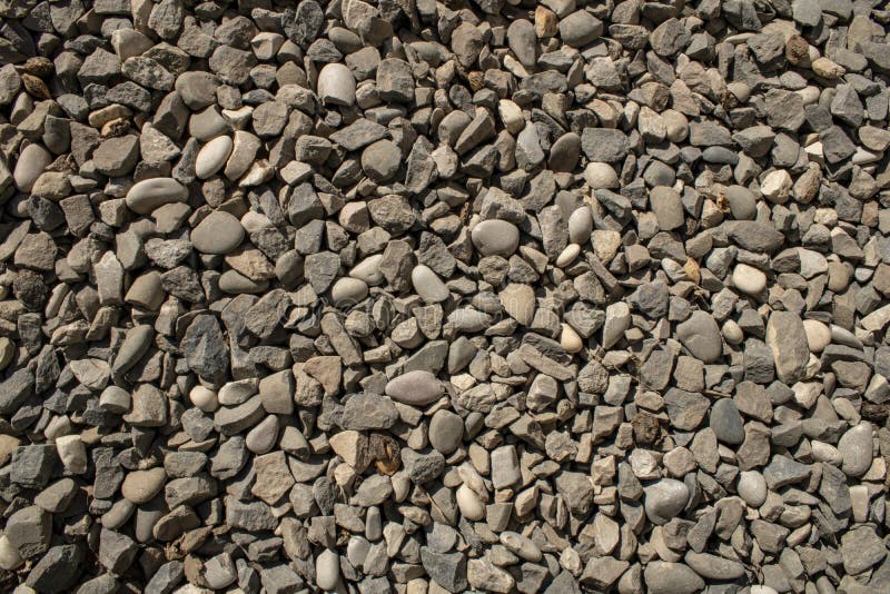 Pebble Texture Small Pebbles. Gravel, Building Material or Trash Stock ...