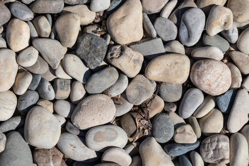 Pebble Texture. Textured Background of Pebbles Close-up Stock Image ...