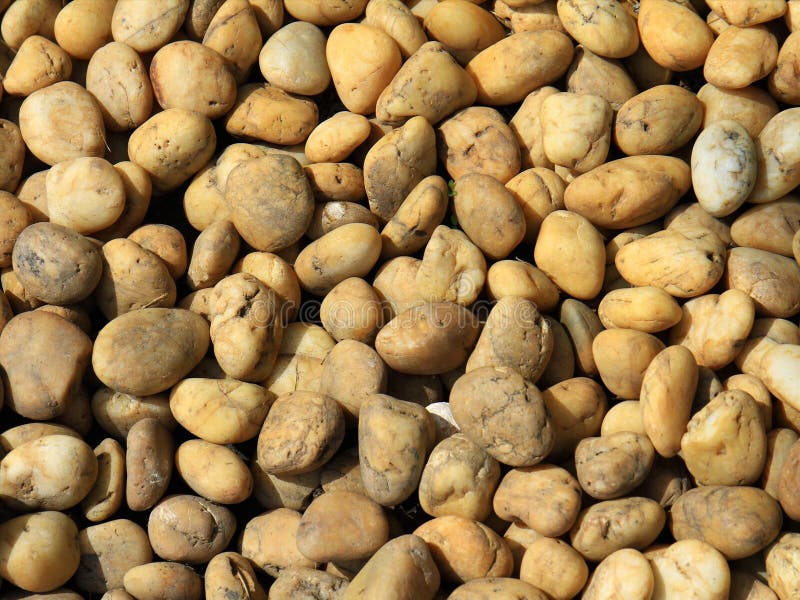 Pebble stock photo. Image of rock, pebble, boulder, cobblestone - 37229954