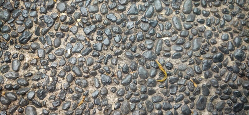 Pebble Wash Texture Material for Design Landscape Paving Stock Image ...