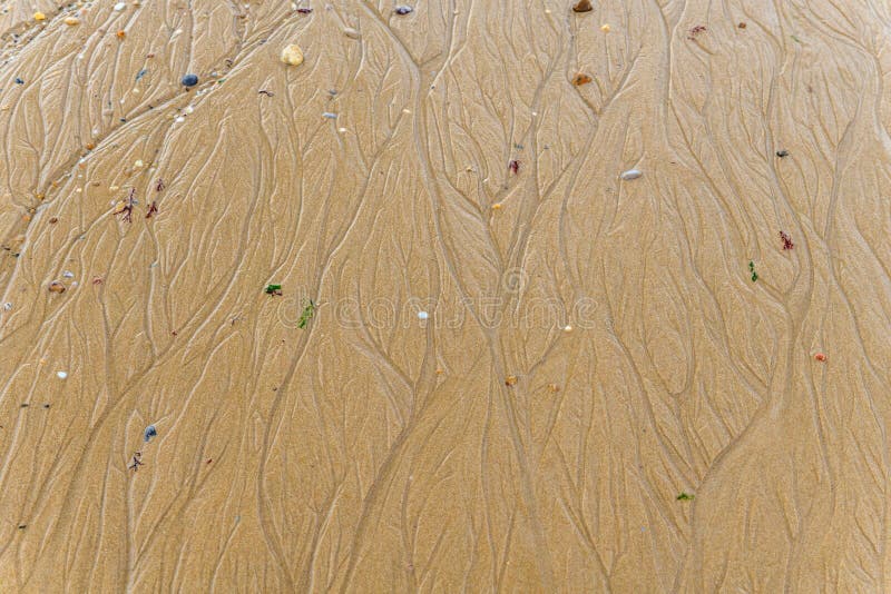 Pebbled on a Beach at the Atlantic Ocean. Stock Image - Image of ...