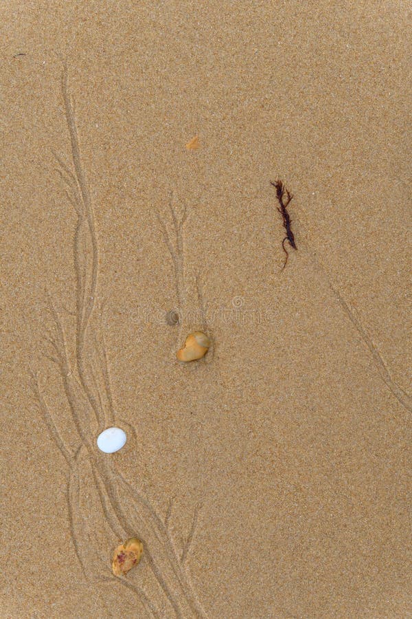 Pebbled on a Beach at the Atlantic Ocean. Stock Photo - Image of ...