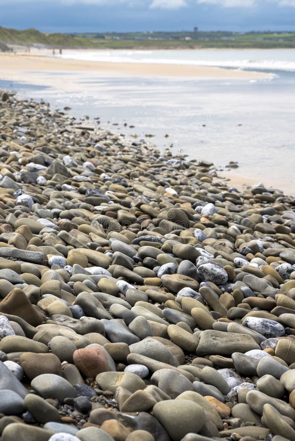 Pebbled Beach beside the Links Stock Image - Image of beach, seascape ...