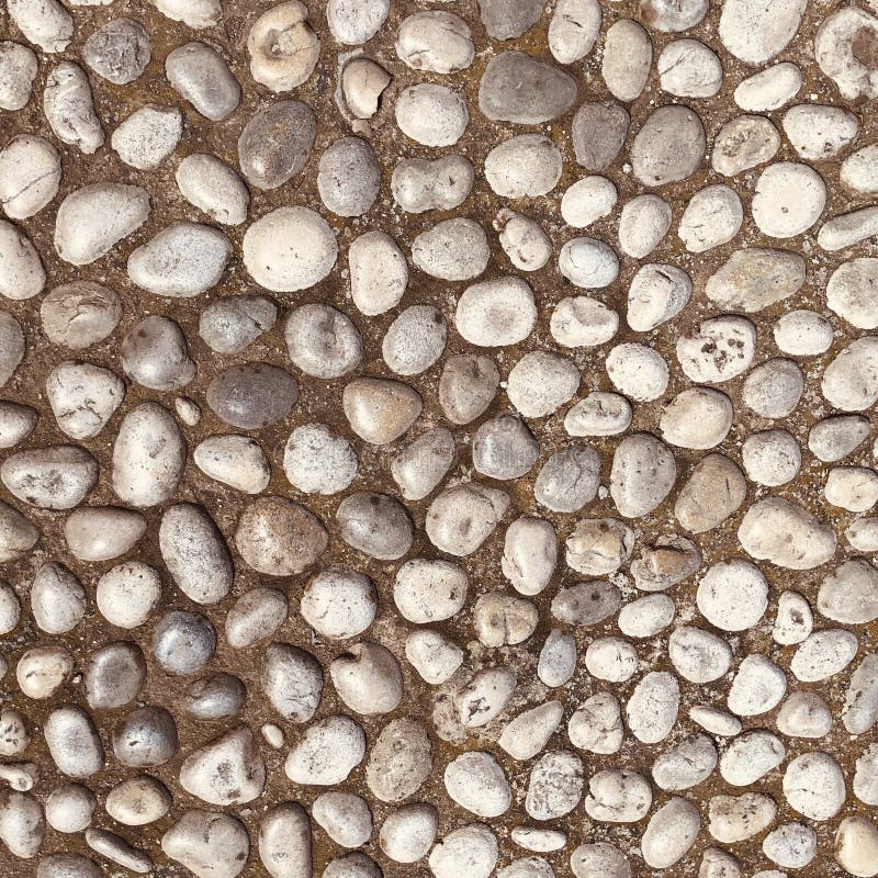 Pebbled Path in the Garden with a Flower Bed. Stock Image - Image of ...