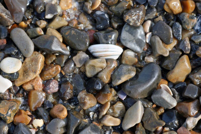 Pebbles stock photo. Image of natural, granite, geological - 11018650