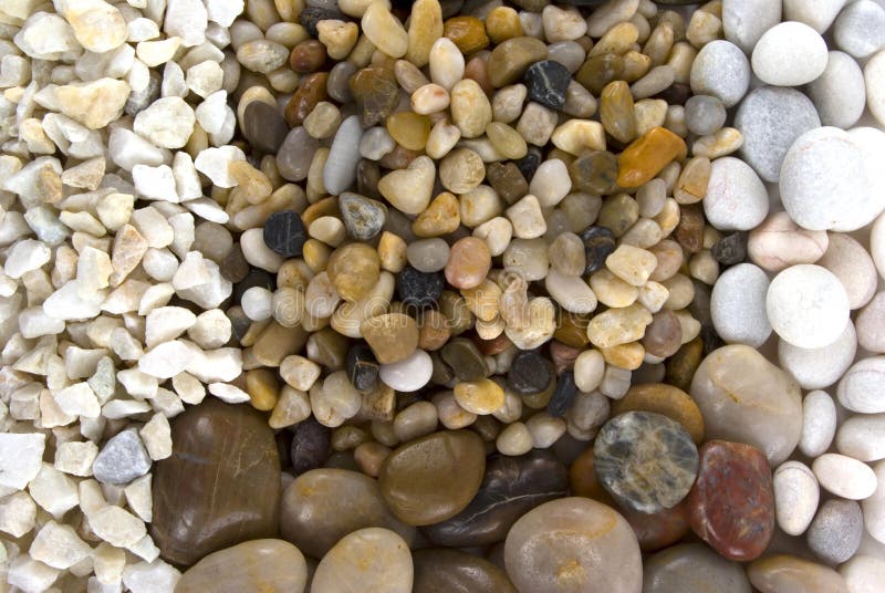 Sticks and Stones stock photo. Image of bone, pebble - 11249914