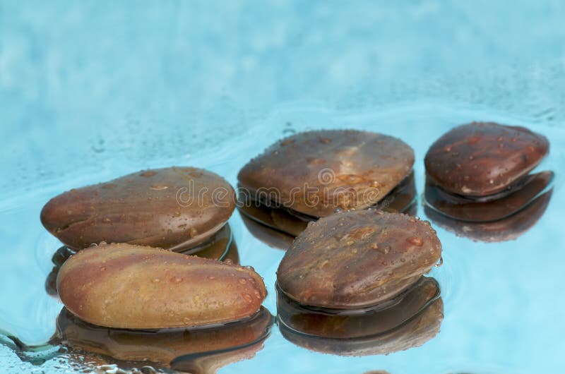 Pebbles stock photo. Image of treatment, pebbles, body - 4651462