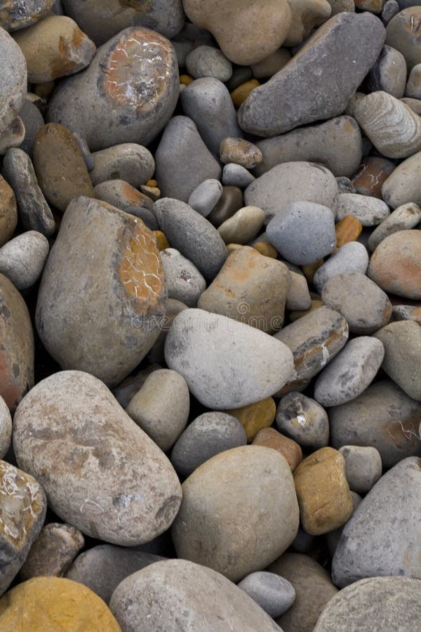 Pebbles stock photo. Image of rocks, stones, beach, multiple - 4686114