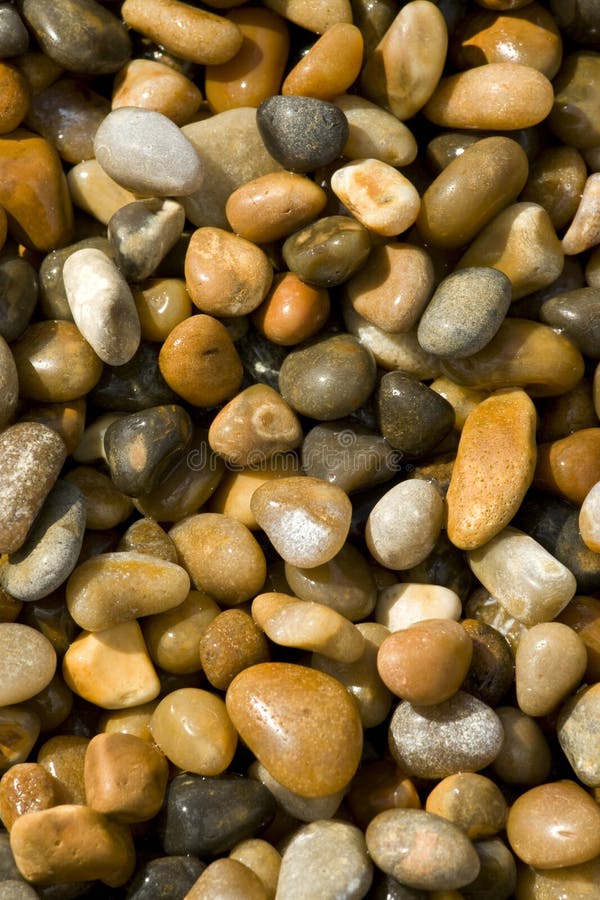 Pebbles stock photo. Image of group, glistening, white - 6331398