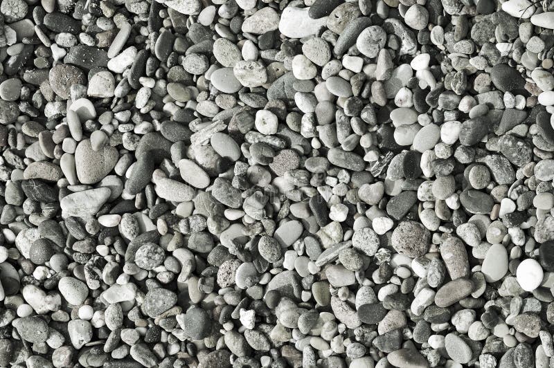 Pebbles on a shingle beach stock photo. Image of rock - 136285230