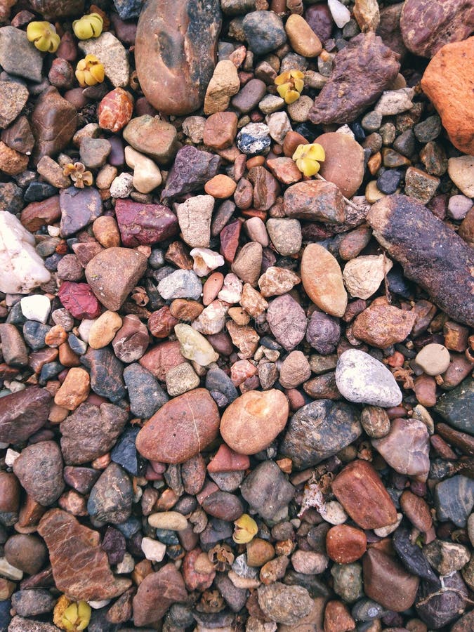 These are Pebbles on the Banks of the River. Stock Photo - Image of ...