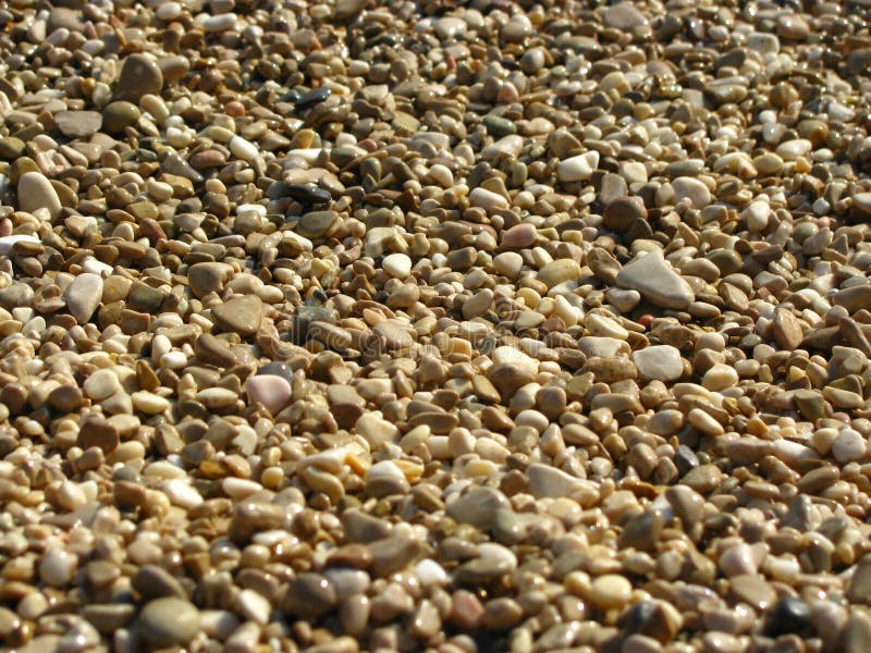 Pebbles on beach stock image. Image of summer, relax - 29018379