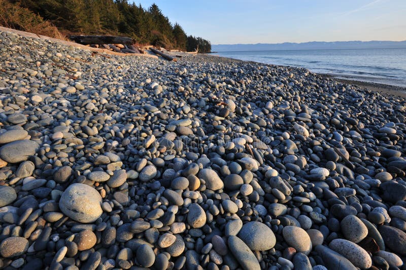 Pebbles on beach stock image. Image of columbia, british - 8730171