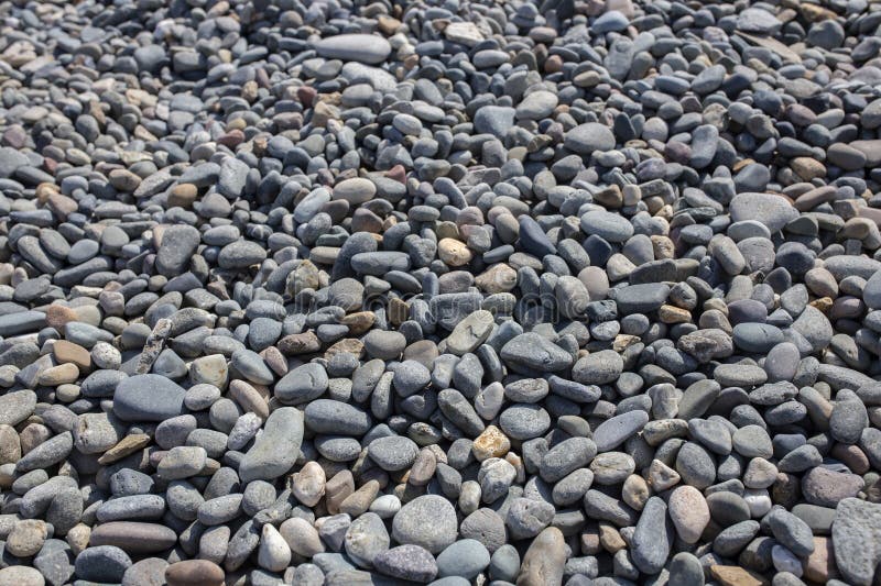 Pebbles on a Beach Background in Various Shapes, Sizes and Colours ...
