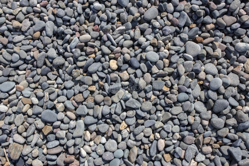 Pebbles on a Beach Background in Various Shapes, Sizes and Colours ...
