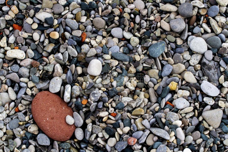 Pebbles on a beach stock photo. Image of pebble, abstract - 346398110