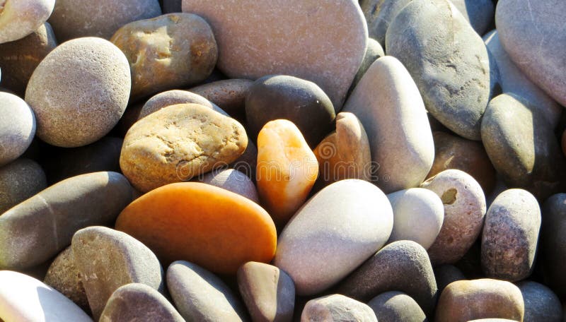 Pebbles stock image. Image of sunny, orange, pebbles - 133741877