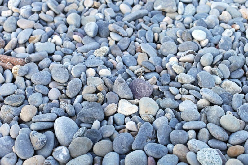 Pebbles stock photo. Image of stones, material, background - 36514734