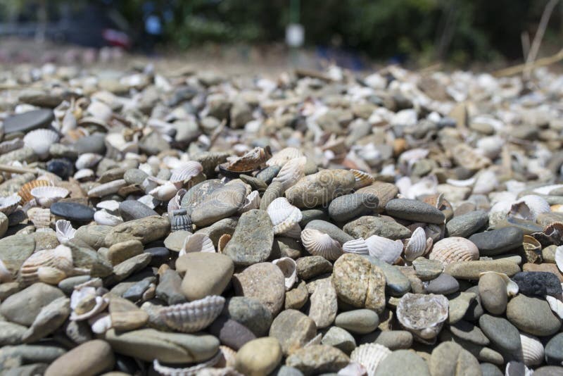 Shingle stock image. Image of stones, shore, vacation - 120726399