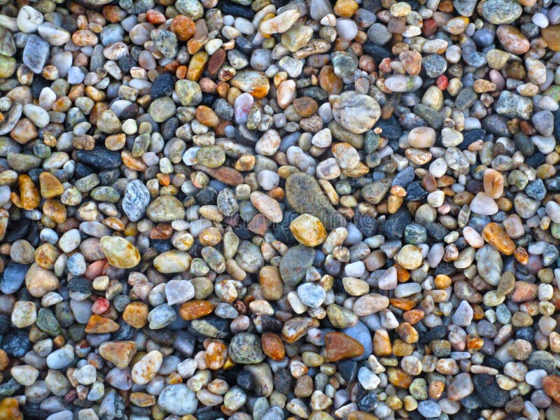 Colorful Pebbles, Sand, and Shells of Snails and Mussels on the Beach ...