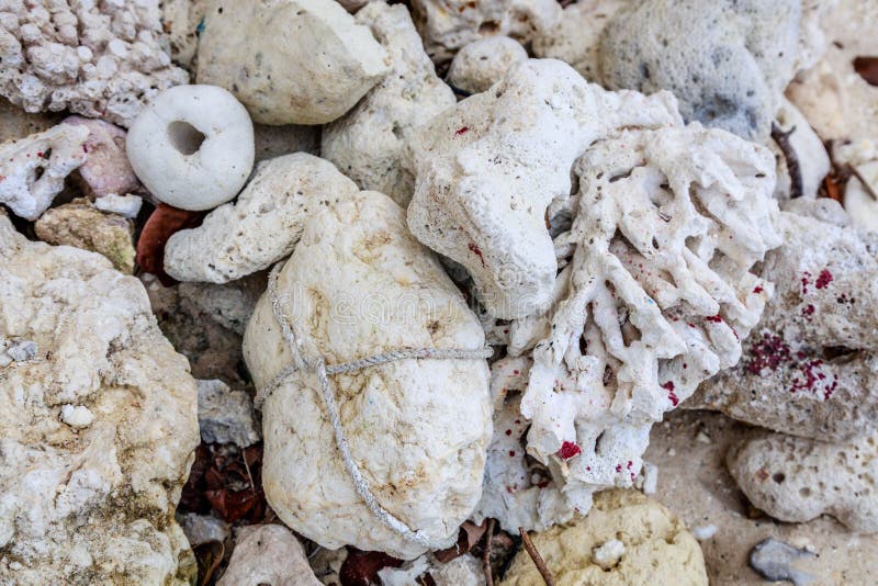 Pebbles and Corals, Boracay Island, Philippines Stock Image - Image of ...