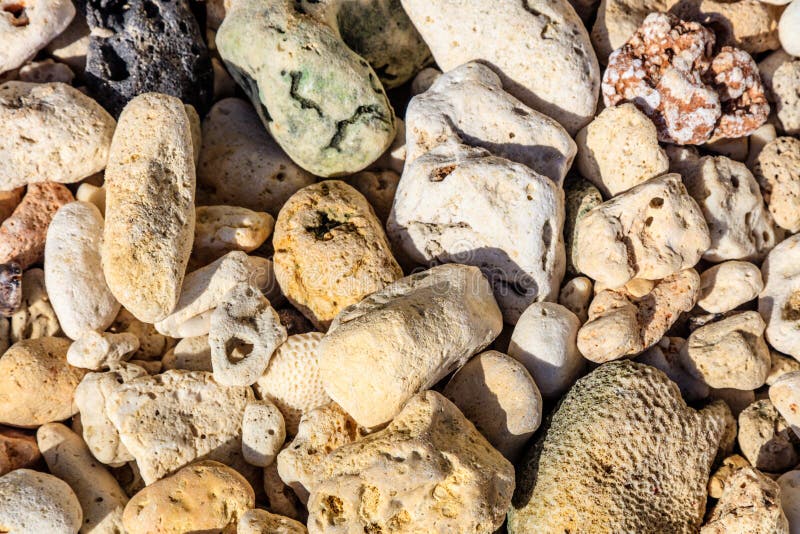Pebbles and Corals, Boracay Island, Philippines Stock Image - Image of ...