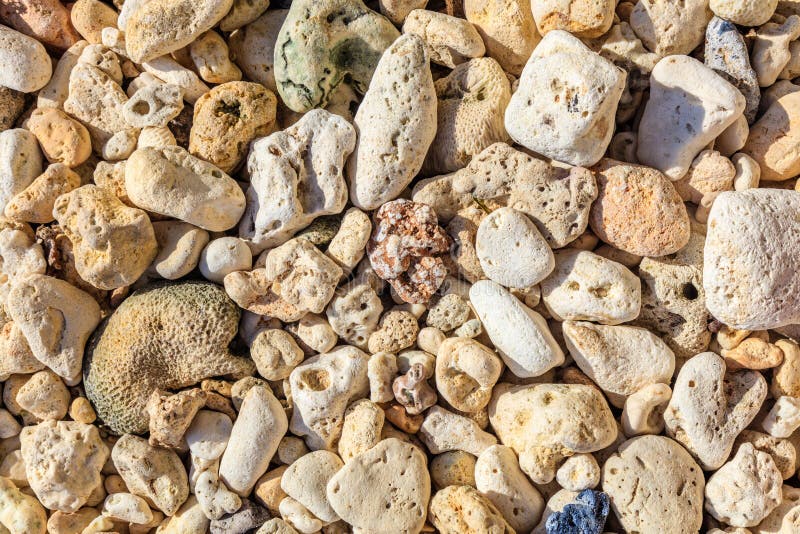 Pebbles and Corals, Boracay Island, Philippines Stock Image - Image of ...