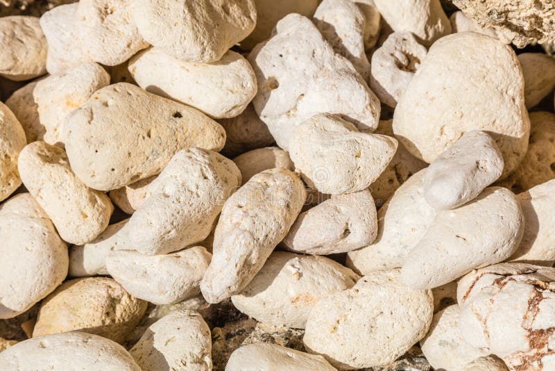 Pebbles and Corals, Boracay Island, Philippines Stock Photo - Image of ...