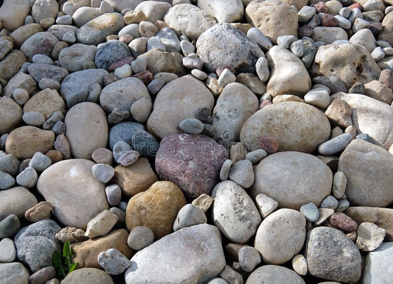 Pebbles of Different Size and Shape, Summer Garden Stock Photo - Image ...