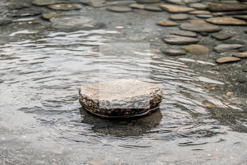 Pebbles Dropped in a Pond Cause Ripples in the Water. Stock Photo ...