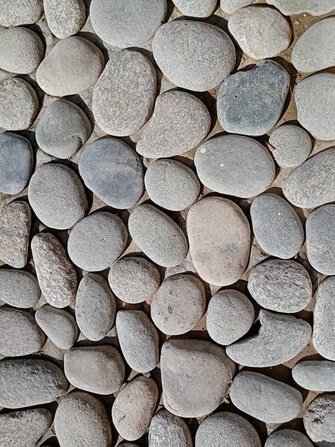 Closeup of Pebbles Texture Background Stock Image - Image of plant ...