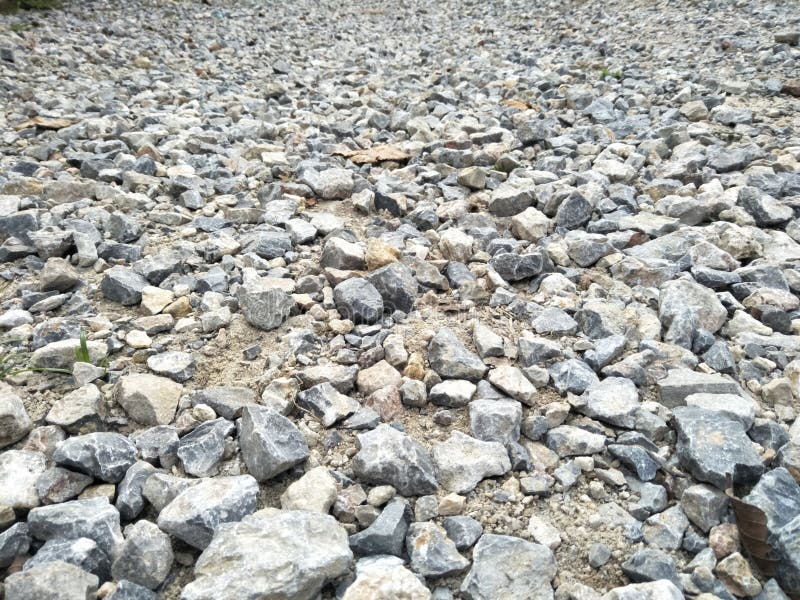 Pebbles that Function To Withstand Flooding in the Yard of the House ...